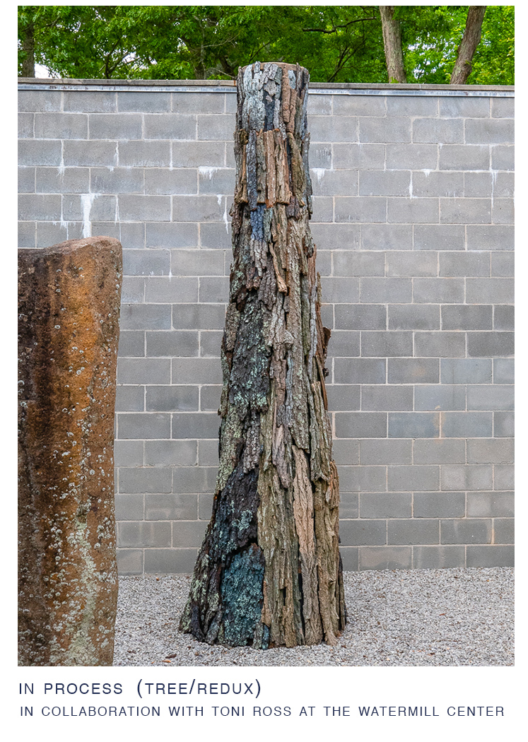 Laurie Lambrecht Photographer